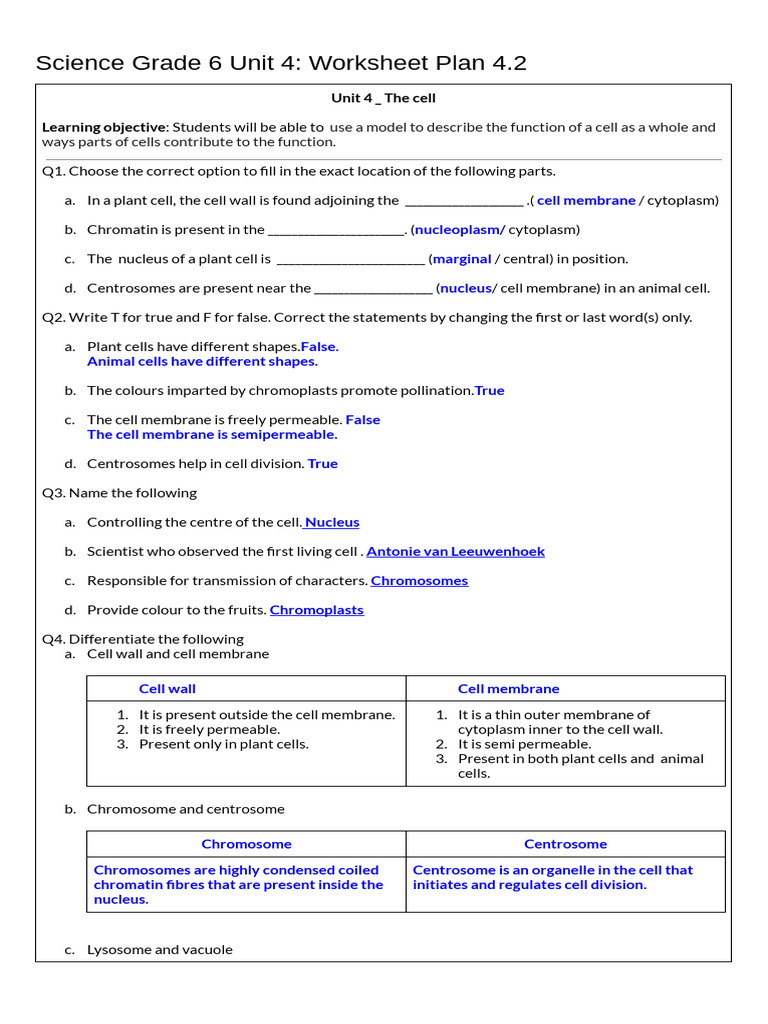 Answer Key - Unit 4.2 - Worksheet Plan - The Cell | Download Free PDF ...