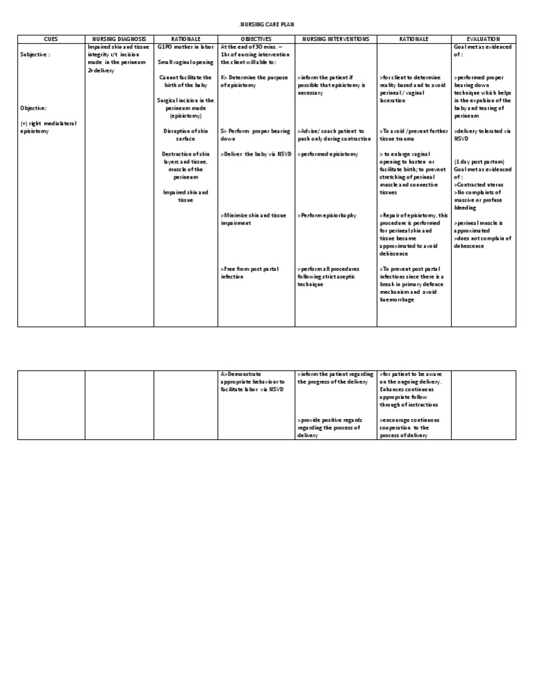 Nursing Care Plan - Delivery Room | PDF
