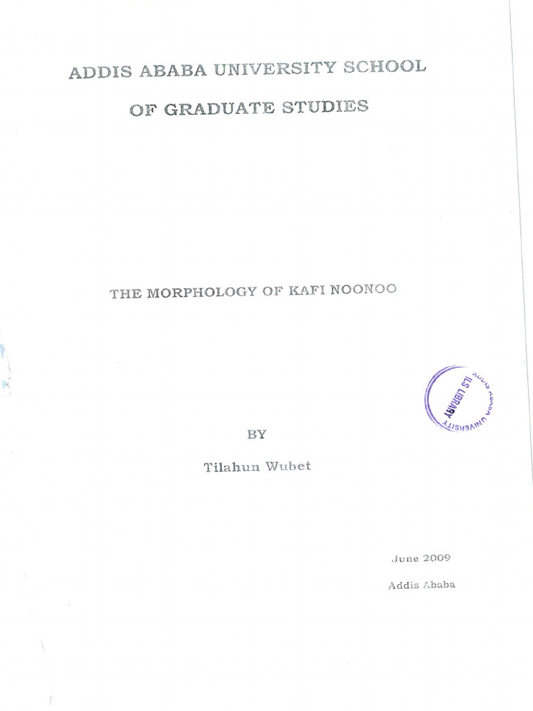 Tilahun Wubet | PDF | Grammatical Gender | Grammatical Tense