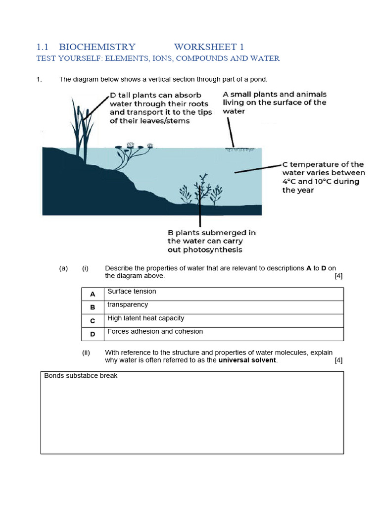 biochemistry-worksheet- | PDF | Water | Magnesium