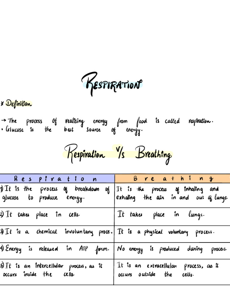Padhle 10th - Respiration (Life Processes) Notes | PDF | Cellular ...