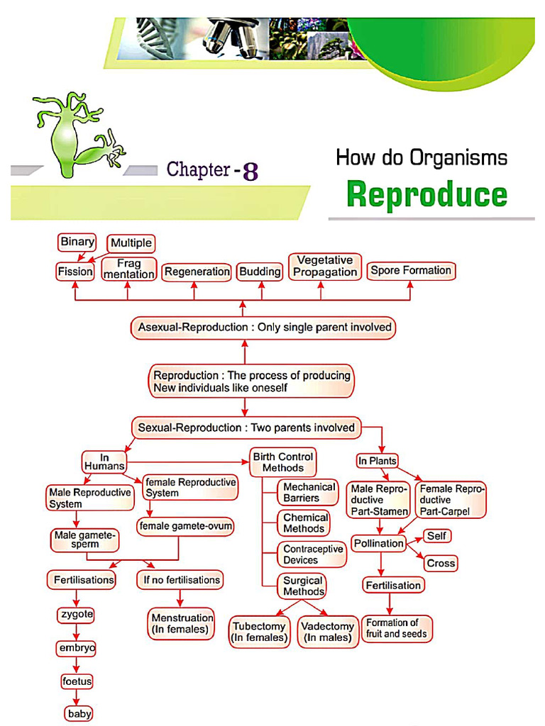 SM Notes of CH How Do Organism Reproduce | PDF