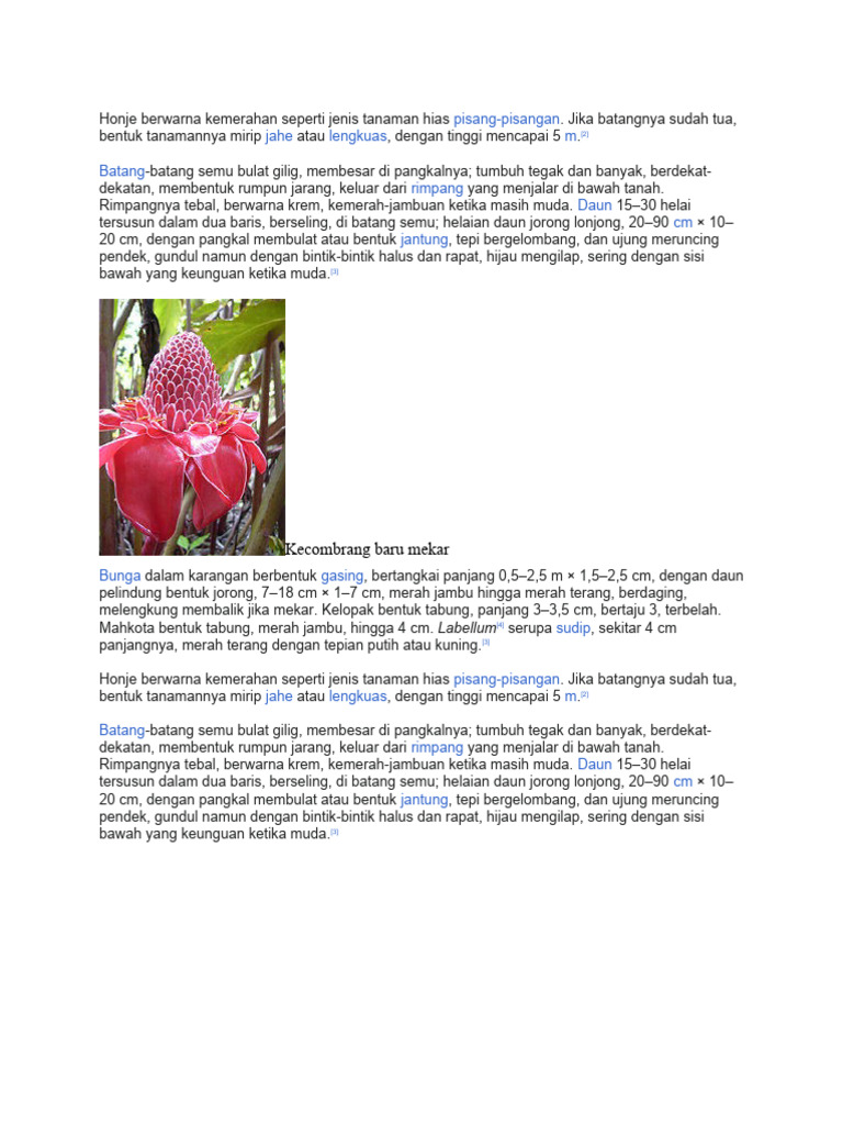 Ciri-ciri Tanaman Honje Merah | PDF