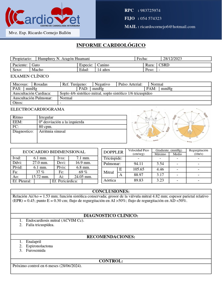 Informe Cardiológico de Gato 14 Años | PDF | Medicina Interna ...