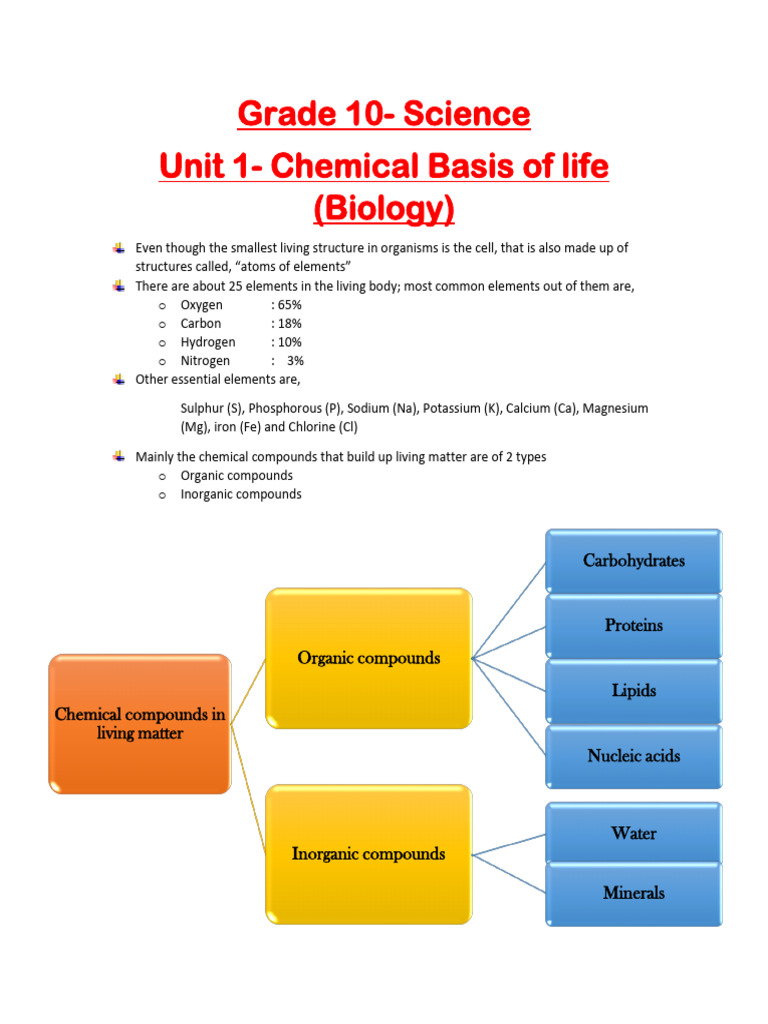 Grade 10 unit 1 bio | PDF | Carbohydrates | Glucose