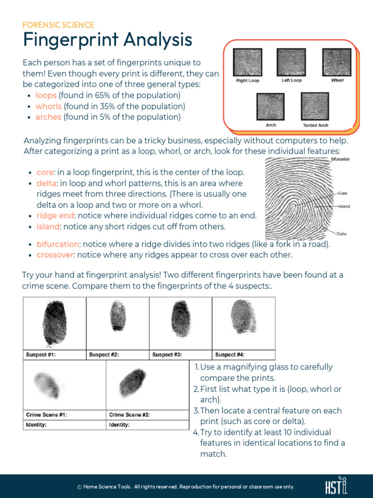 Fingerprint Analysis | PDF | Young Adult | Home & Garden