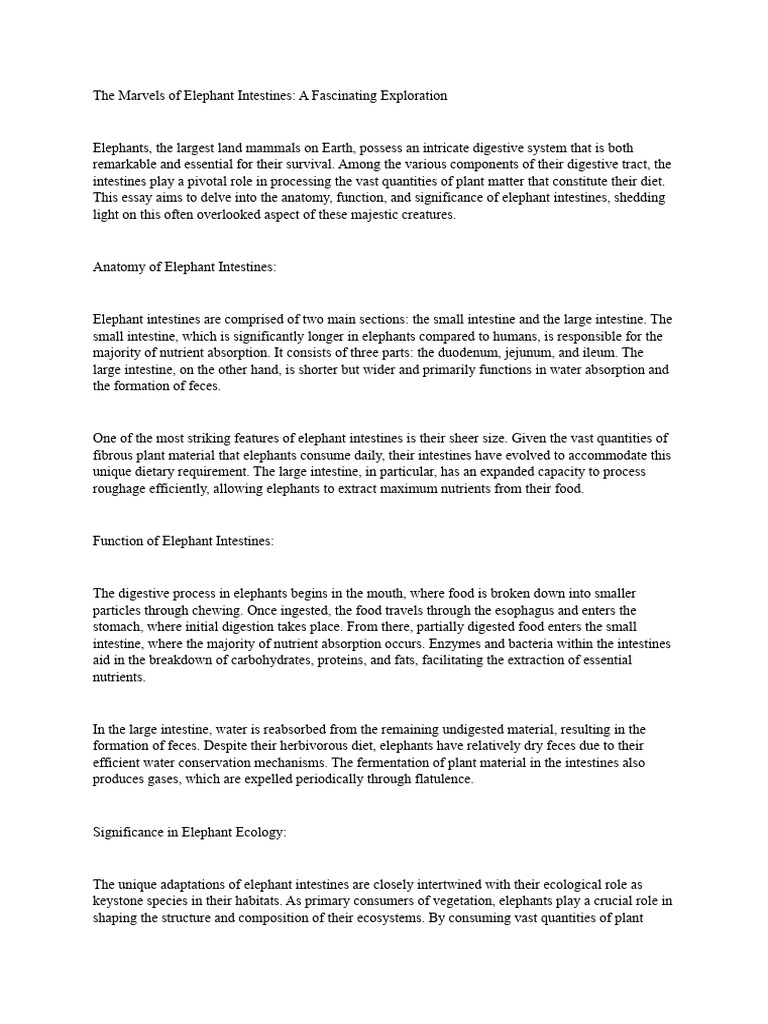 The Marvels of Elephant Intestines | PDF