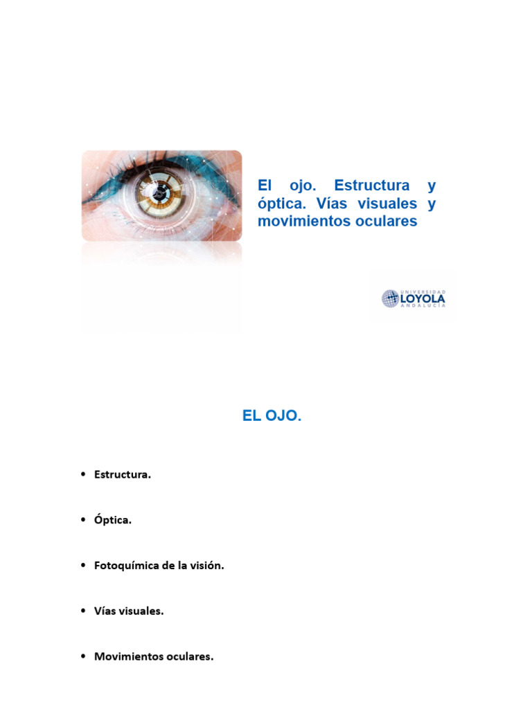 Tema 20 y 21. El ojo. Estructura y óptica. Fotoquímica de visión. Vías | PDF | Ojo humano ...