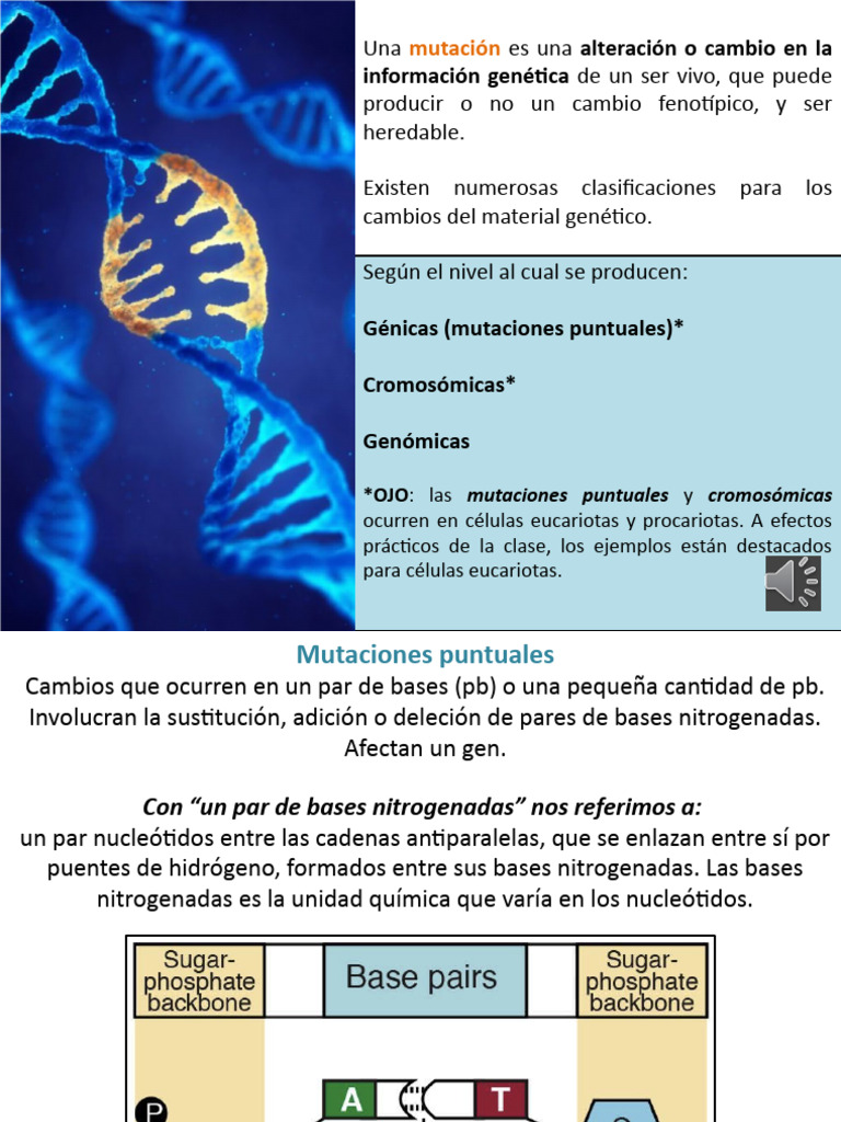Bases Moleculares de La Mutagénesis. Tipos de Mutación - Nivel Al Que ...