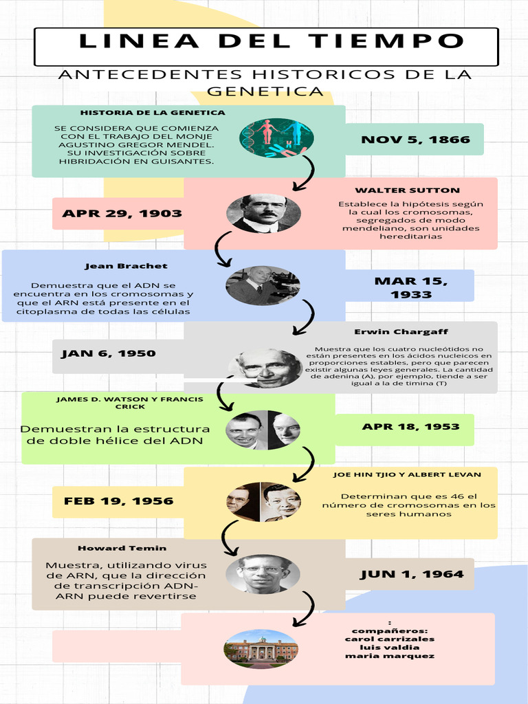 Linea de Tiempo | PDF | Adn | Genética