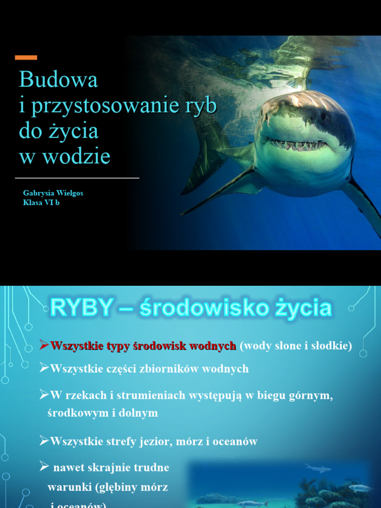 Prezentacja RYBY - G. Wielgos | PDF