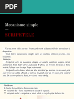 Lectia 5.2 Scripetele | PDF
