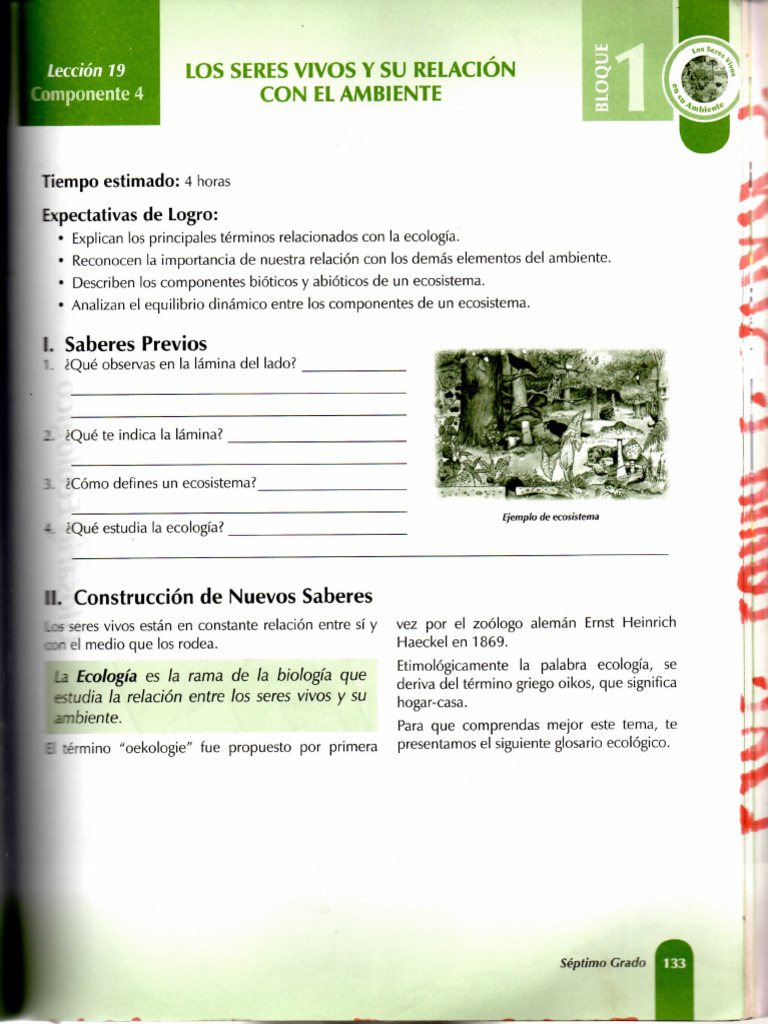 Relación de Seres Vivos y Ecosistemas | PDF | Ecosistema | Ecología