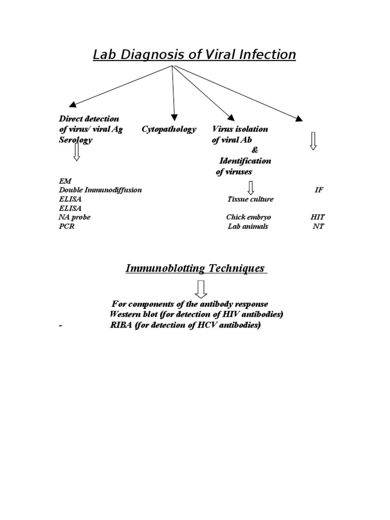 Laboratory Diagnosis of Infection | PDF | Western Blot | Infection