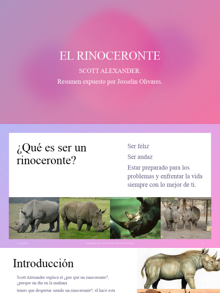 Infografía de Libro El Rinoceronte | PDF
