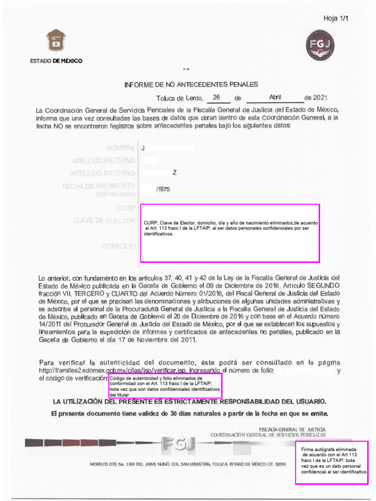 11 Informe de No Antecedentes Penales | PDF | Justicia | Crimen y violencia