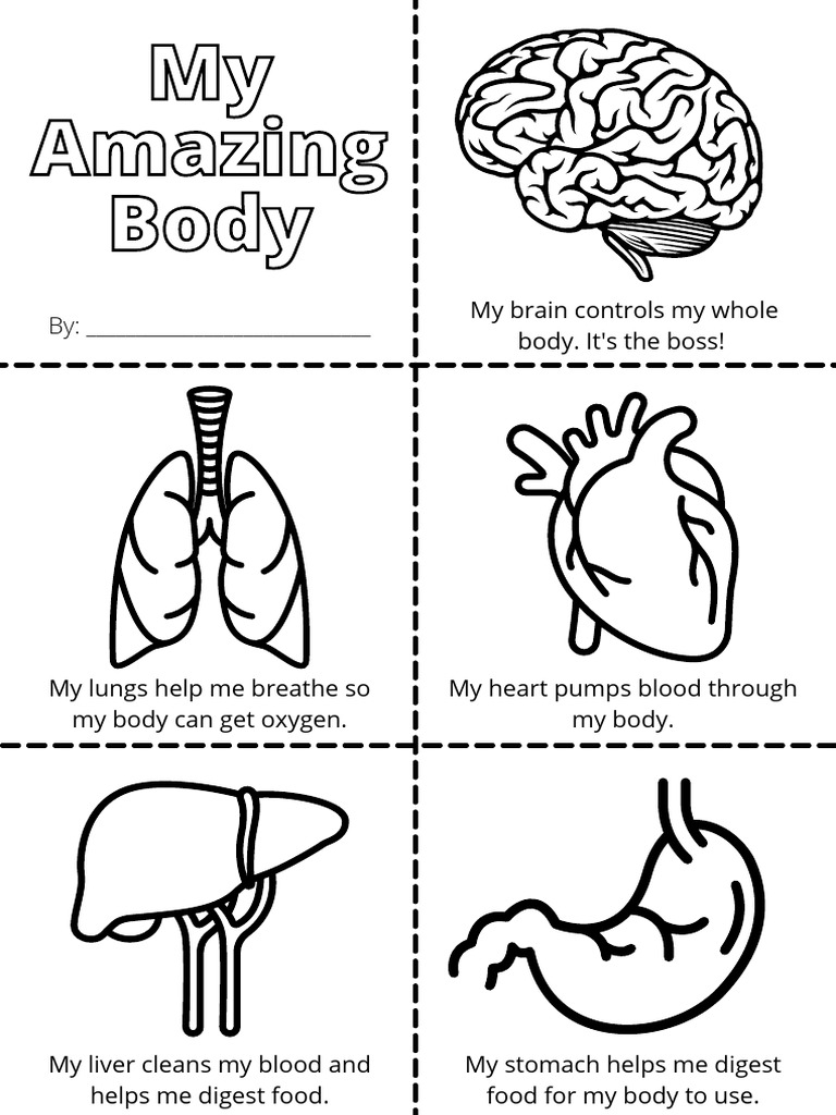 My Amazing Body Explained | PDF