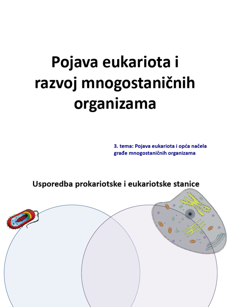 04 Pojava Eukariota, Sustav Organa Za Pokretanje | PDF