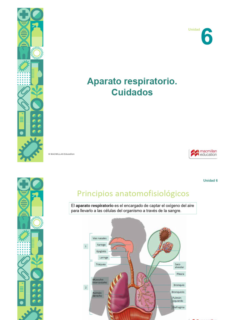 Aparato Respiratorio | Descargar gratis PDF | Sistema respiratorio | Pulmón