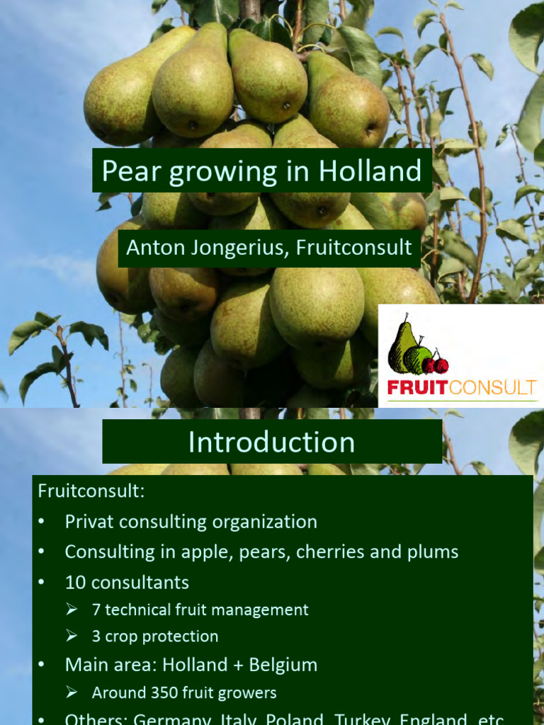 Benefits of Pear Pollination Techniques | PDF | Pollination | Pruning