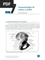 Articulación Coxofemoral Cuadro Integrador | PDF | Rodilla | Cadera