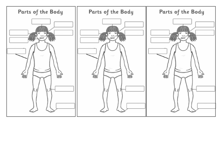 Body Label | PDF