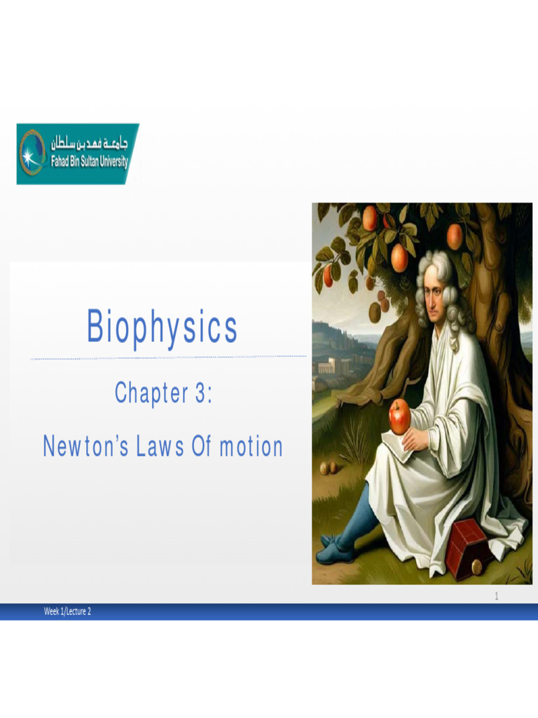 Newton's Laws of Motion Overview | PDF | Force | Newton's Laws Of Motion