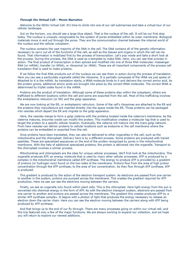 Through The Virtual Cell Narrative | PDF | Endoplasmic Reticulum | Cell ...