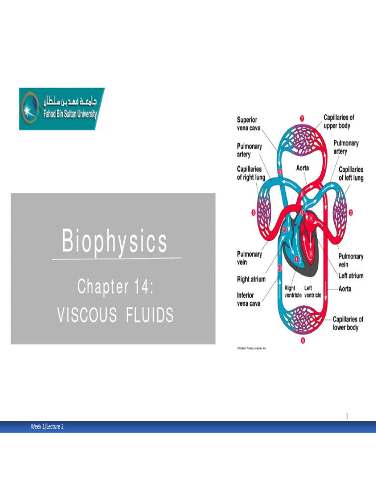 Chapter 14 | PDF | Fluid Mechanics | Viscosity
