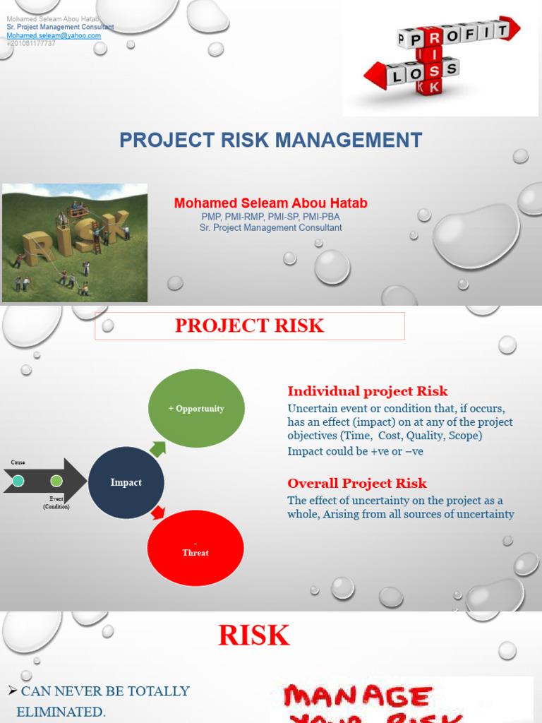 Project Risk Management | PDF | Risk | Risk Management