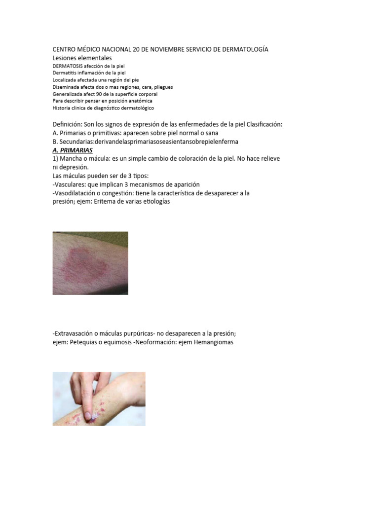 Lesiones Elementales en Dermatología | PDF | Piel | Inflamación