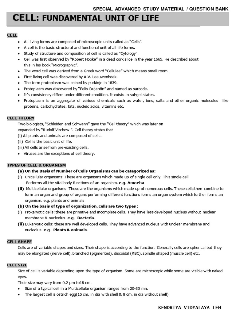 cell for 9 11 | PDF | Endoplasmic Reticulum | Cell (Biology)