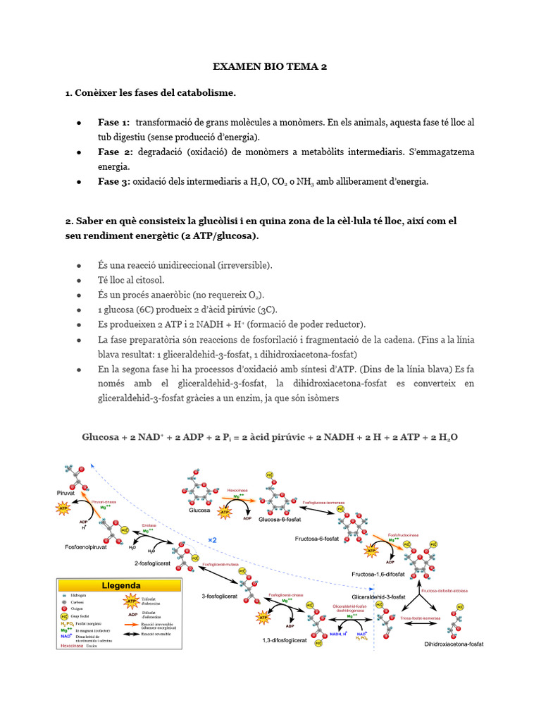 Examen Bio Tema 2 | PDF