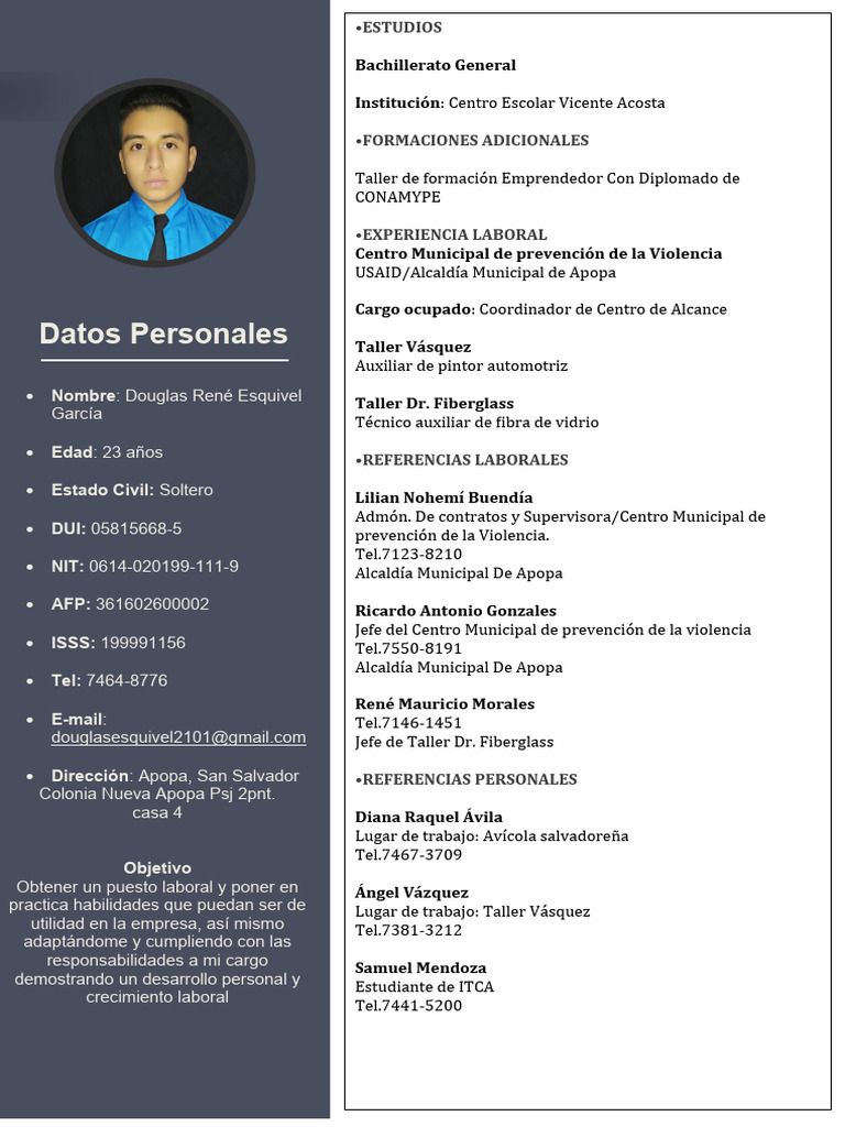 Curriculum Vitae Actualizado | PDF