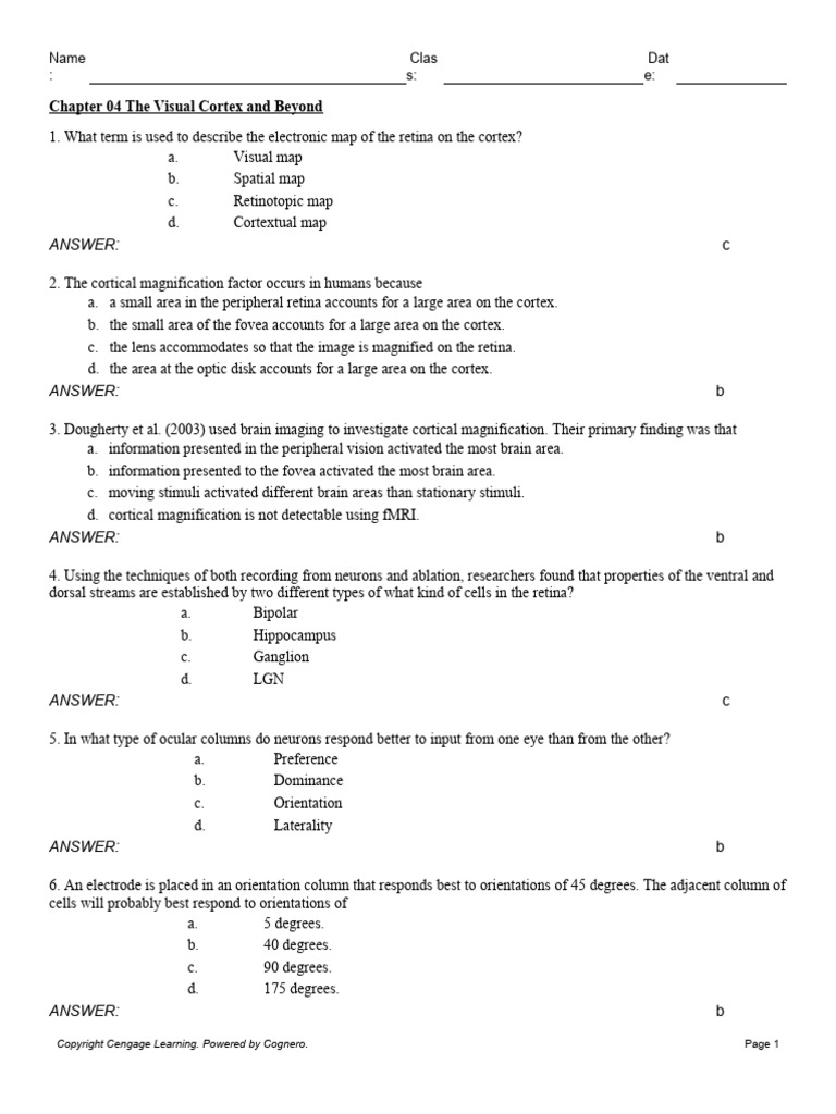 Chapter 04 The Visual Cortex and Beyond | PDF | Visual Cortex | Visual System