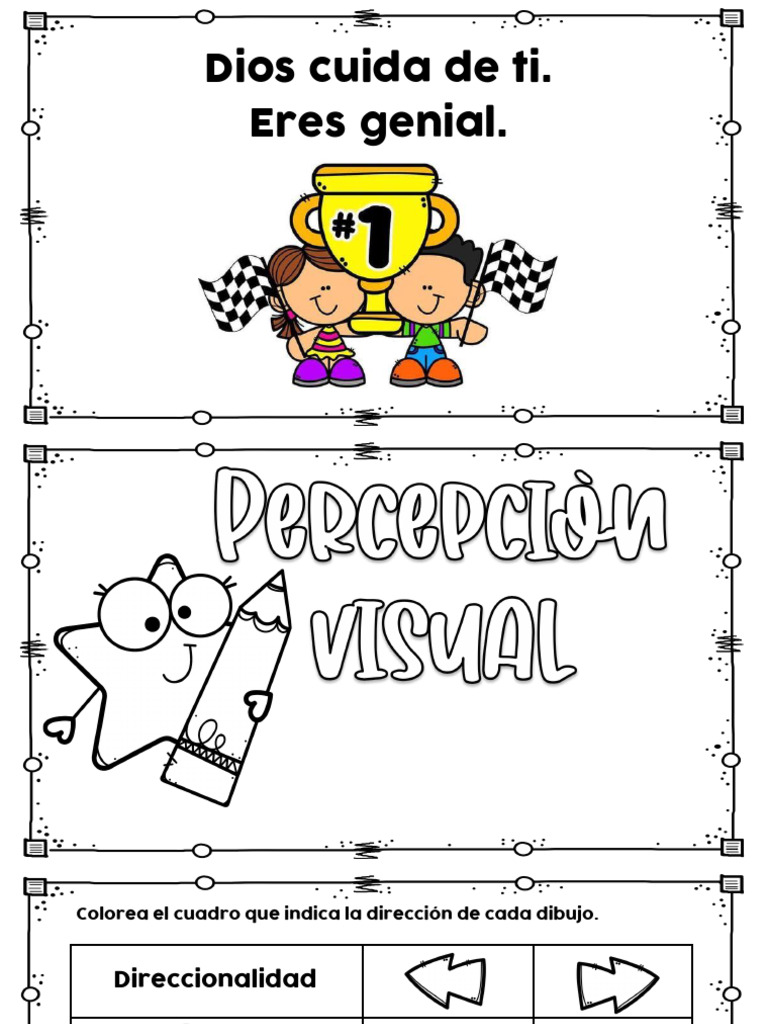 Percepción Visual | PDF