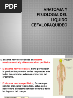 Conducto Ependimario | PDF | Sistema nervioso central | Anatomía humana