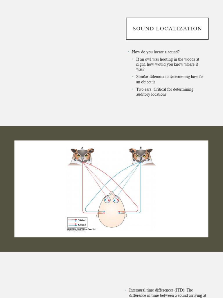 Hearing 3 | PDF | Sound | Audiology