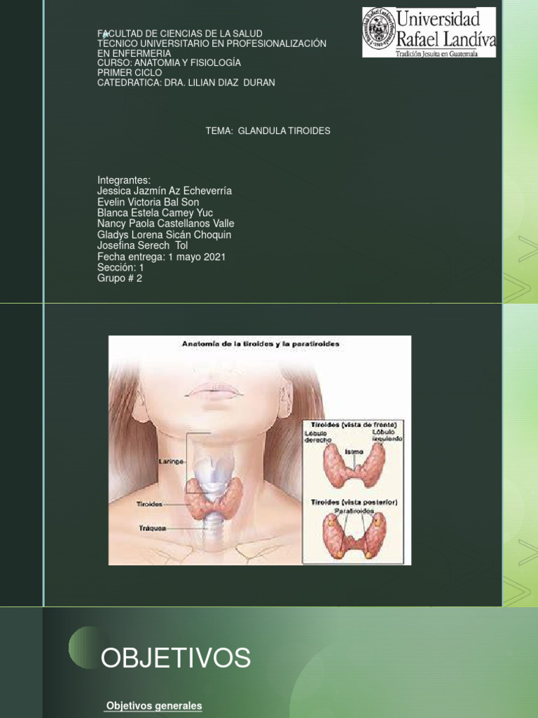 Glandula Tiroides | PDF | Tiroides | Hipertiroidismo