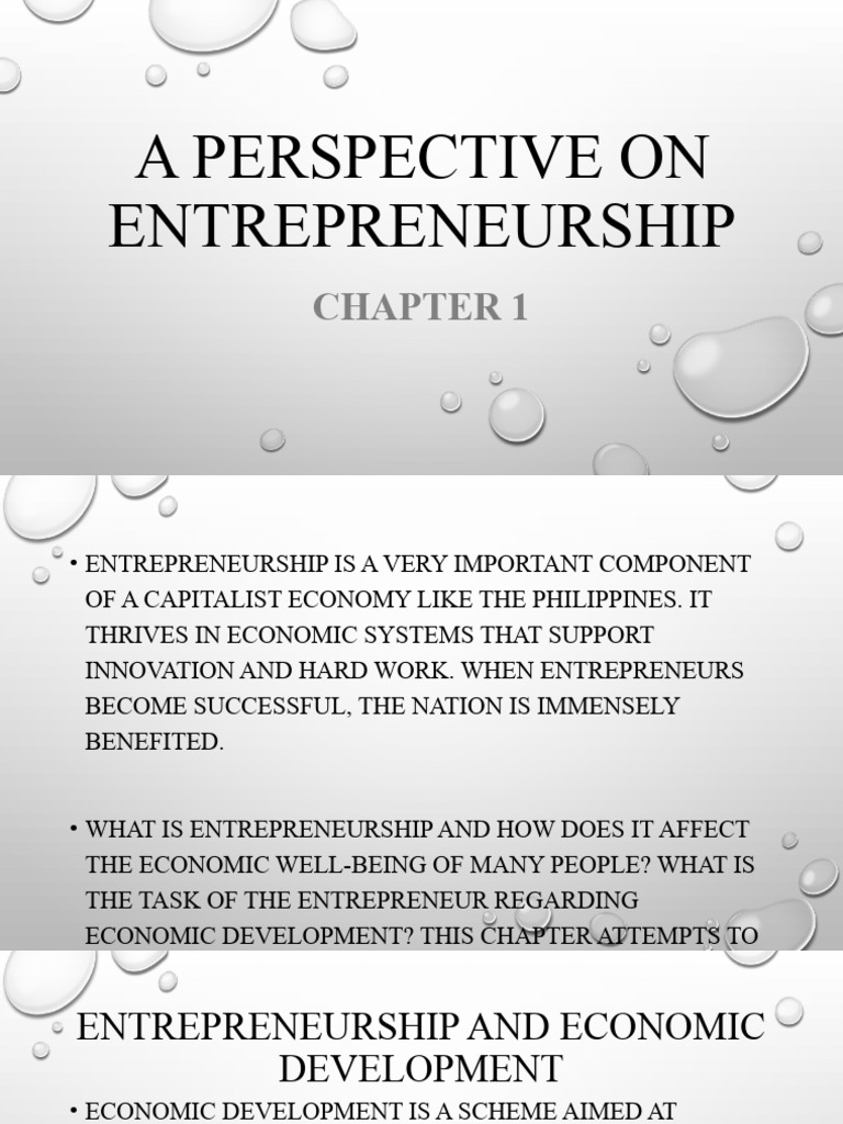 A Perspective On Entrepreneurship | PDF | Entrepreneurship | Economies