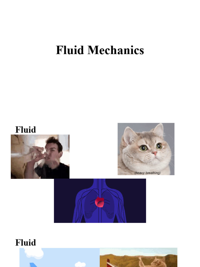 Fluid Mechanics | PDF | Fluid Dynamics | Pressure