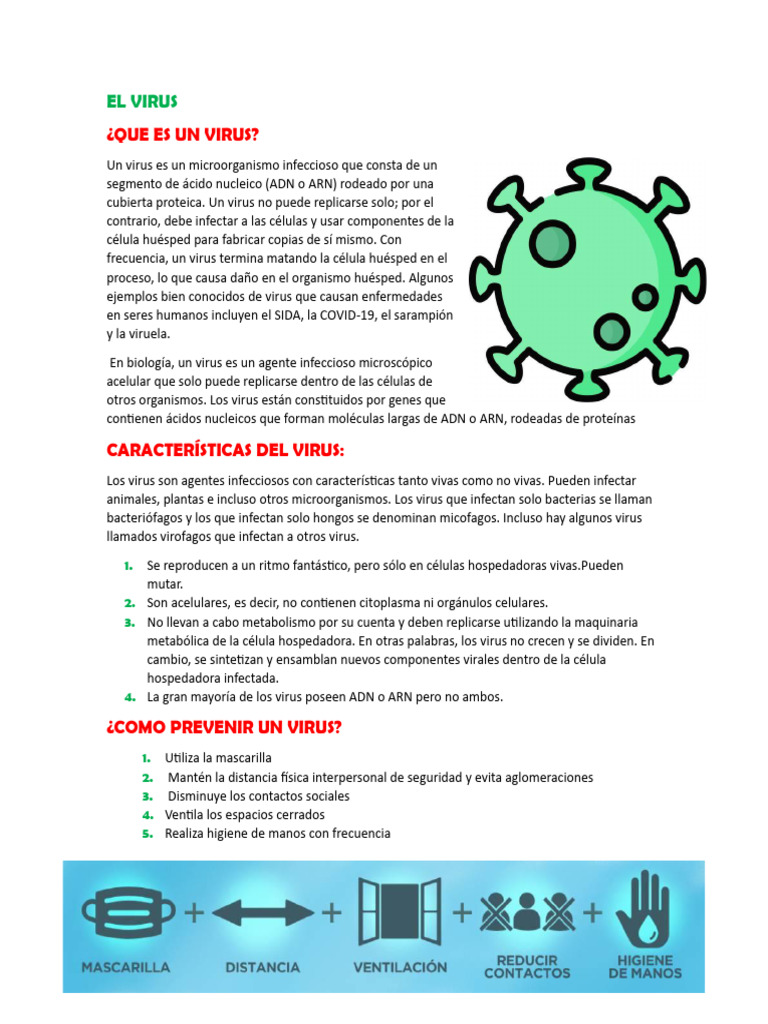 Todo sobre los virus: características y prevención | PDF | Virus ...