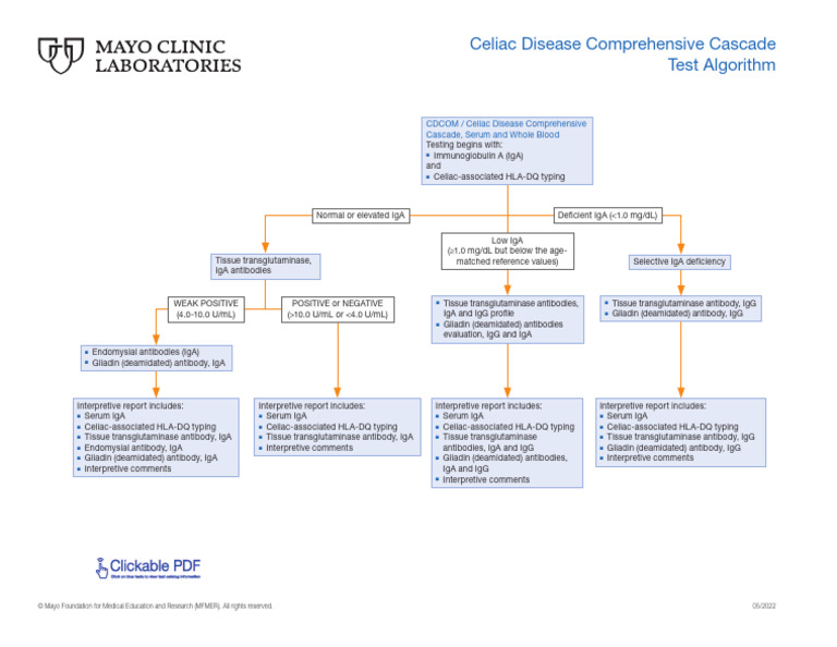 Celiac Disease Comprehensive Cascade Test Algorithm | PDF | Medical ...