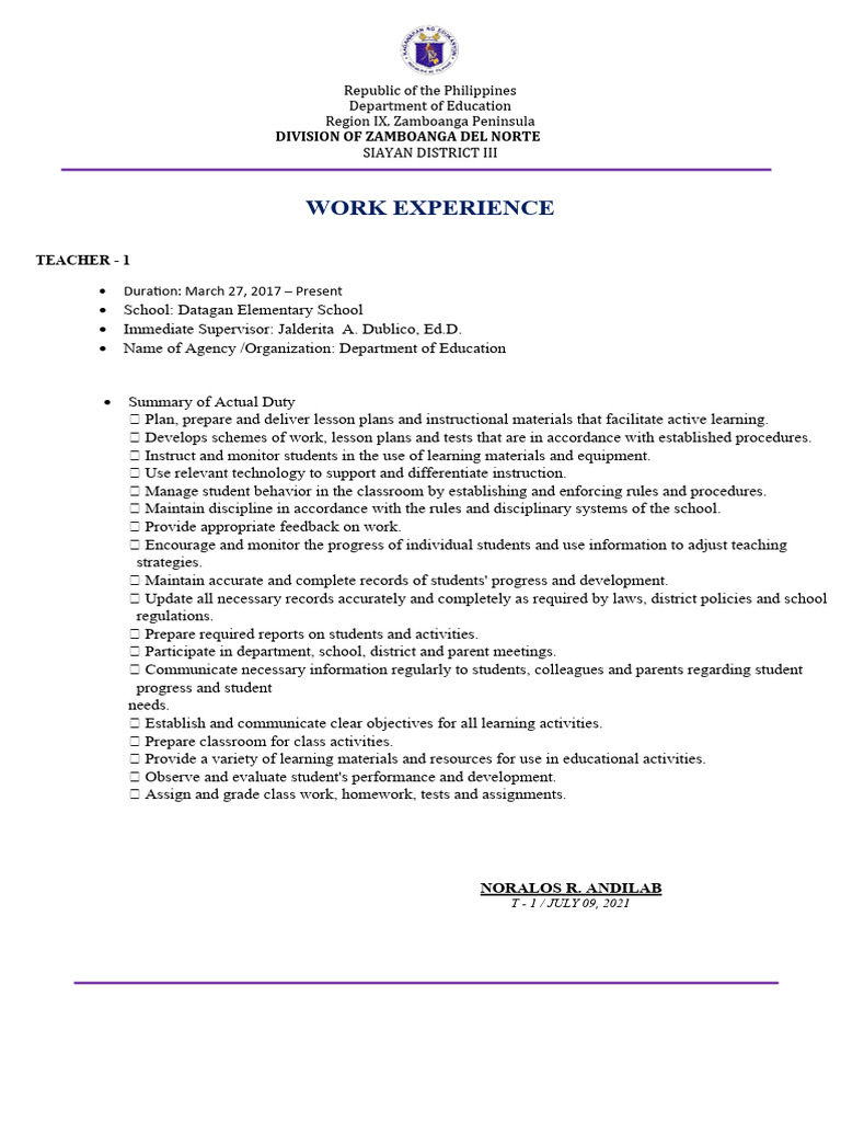 Work Experience | PDF | Lesson Plan | Differentiated Instruction