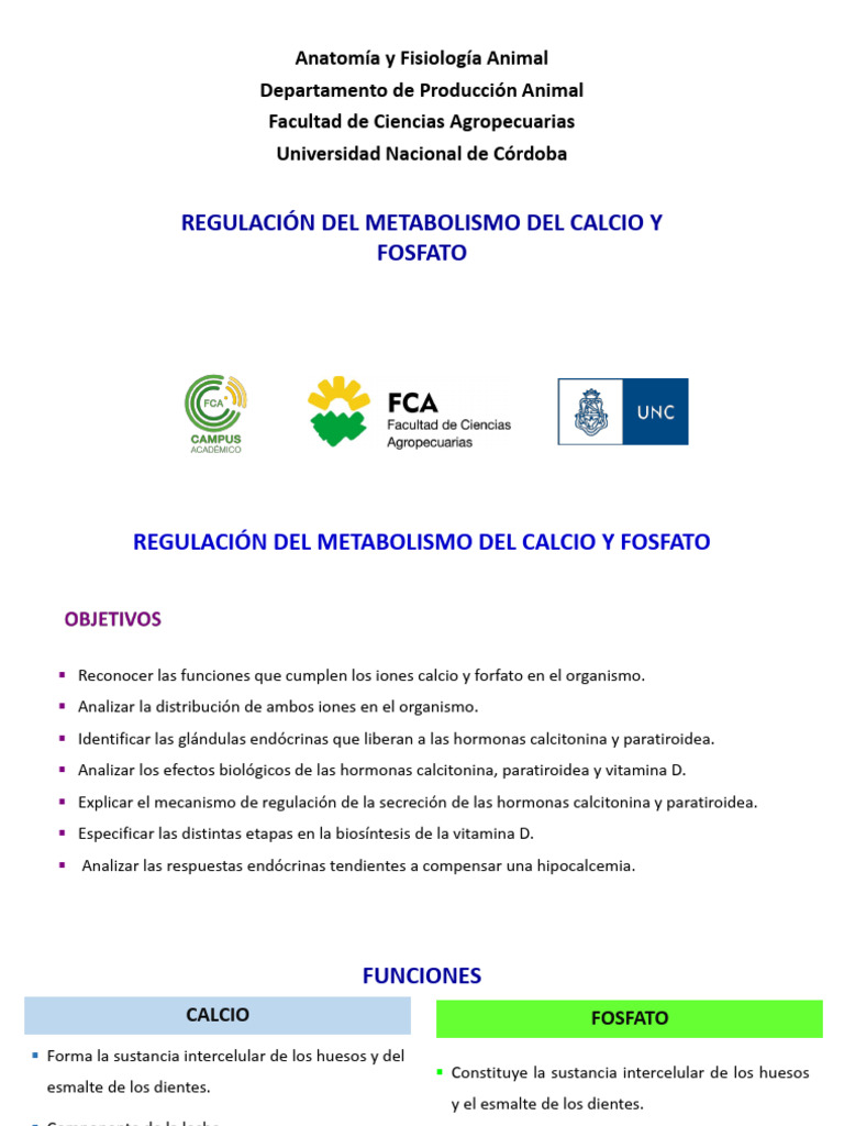 9-Regulación de La Calcemia | PDF | Calcio | Biología Celular