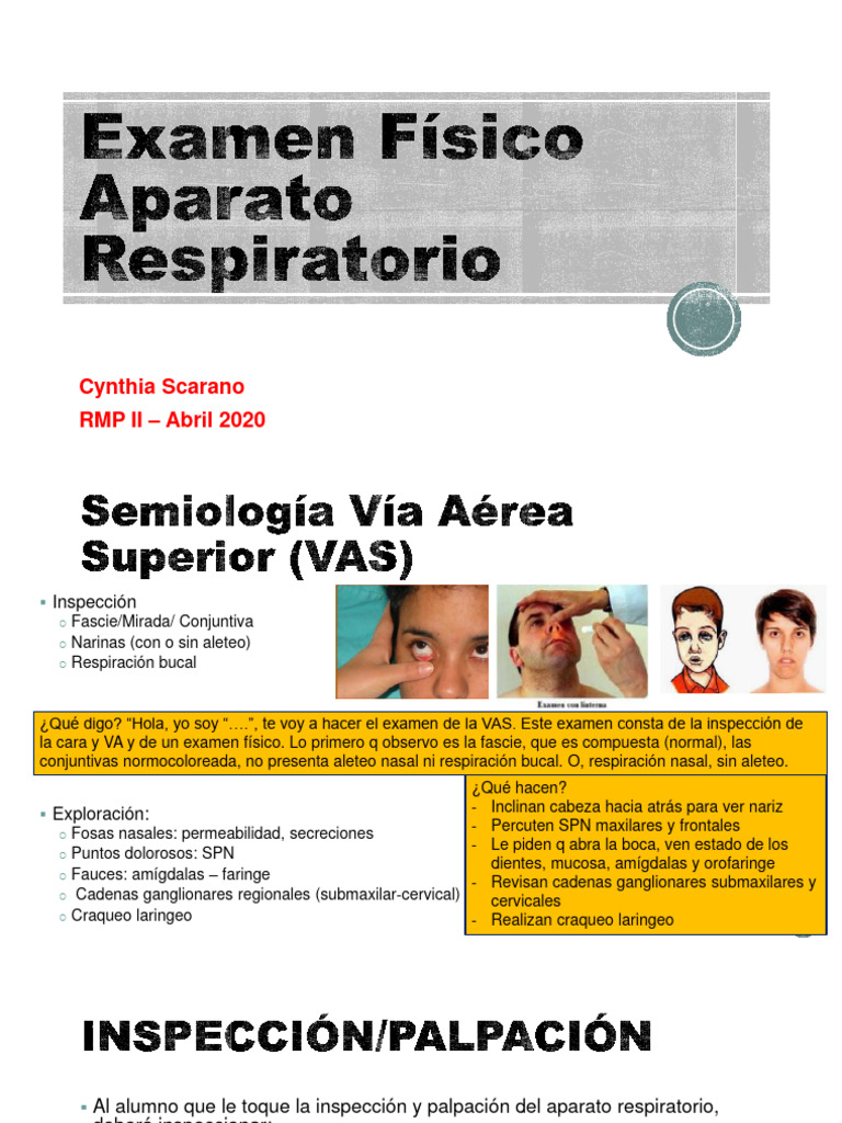 Examen Físico RESP 1 (power) | PDF | Tórax | Respiración