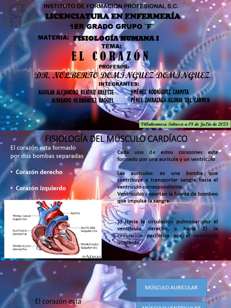 EXPO CORAZON All Final | PDF | Corazón | Ventrículo (corazón)