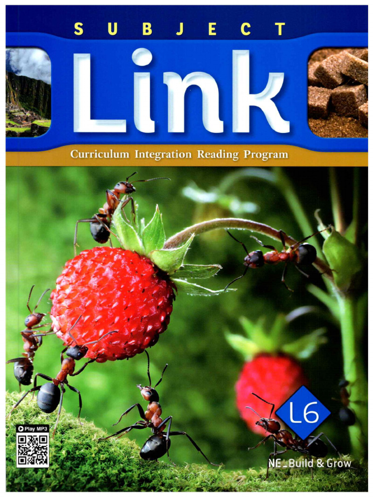 Subject Link Student Book 6 | PDF