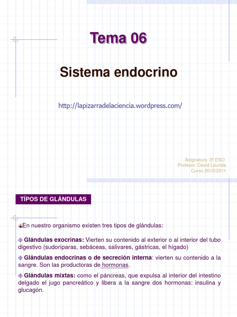 Sistema Endocrino | PDF | Sistema endocrino | Glándula pituitaria