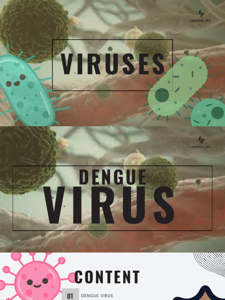 Dengue Virus | PDF | Virus | Diseases And Disorders